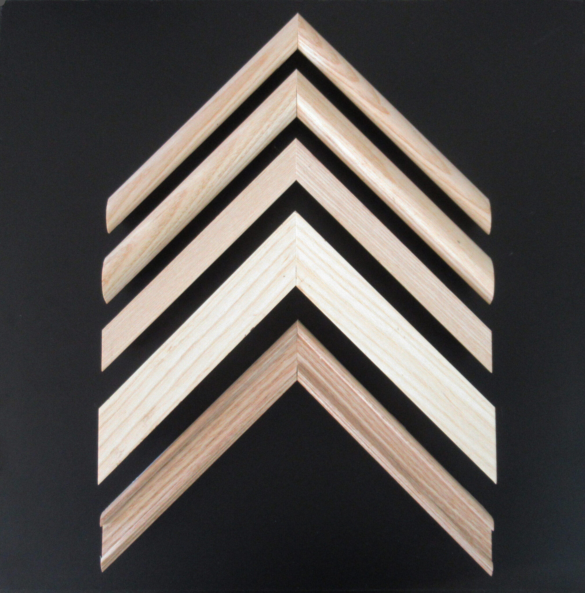 SAM Molding 2025 Summer Collection – SAM TRADING